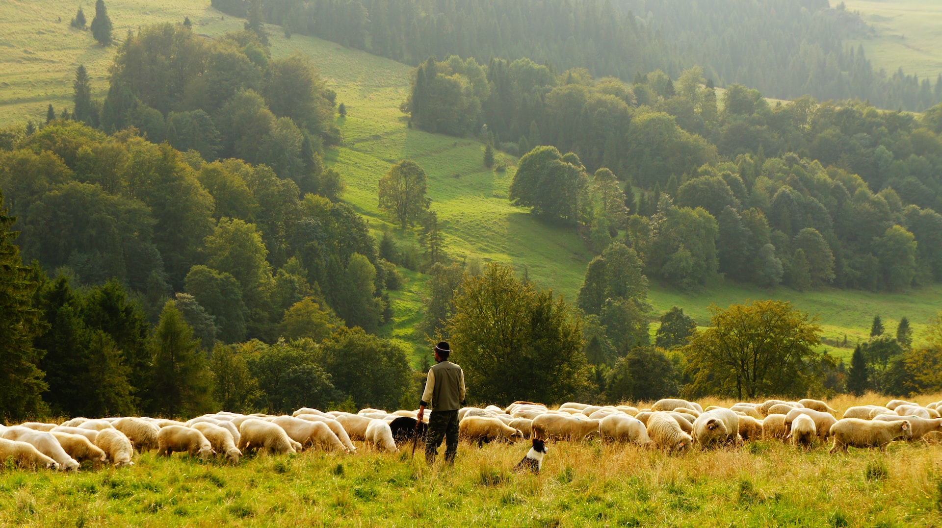 Cotswold Inns & Hotels
