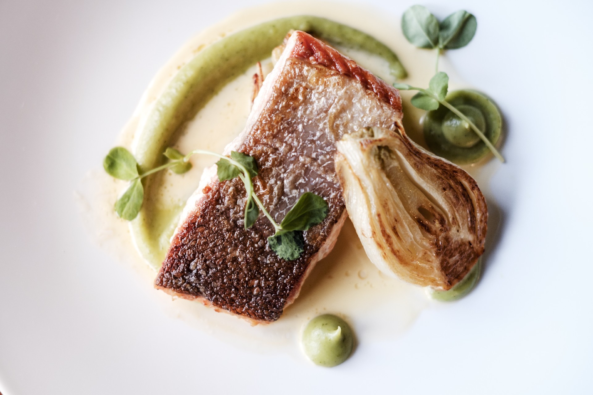 Restaurant In Tetbury | The Close Bar and Garden Room